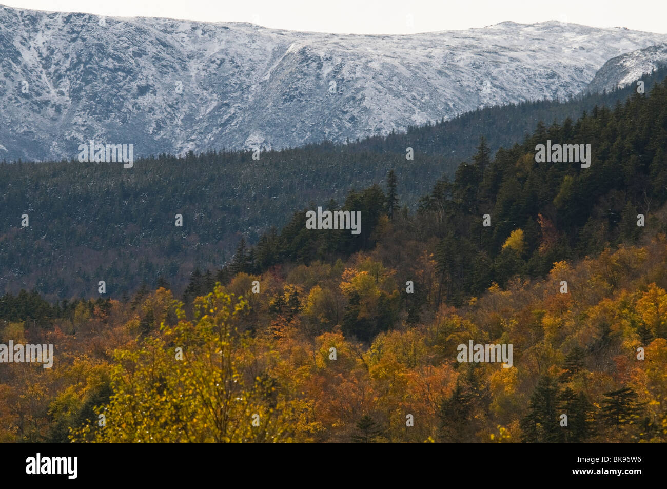 Autumn Foliage,Mount Washington,White Mountain National Forest,First ...