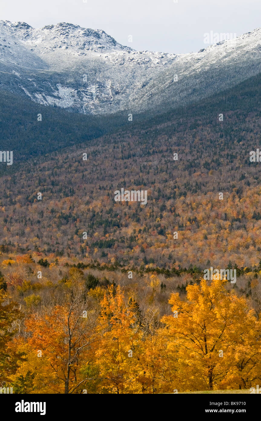 Autumn coloured mountain ash trees hi-res stock photography and images ...