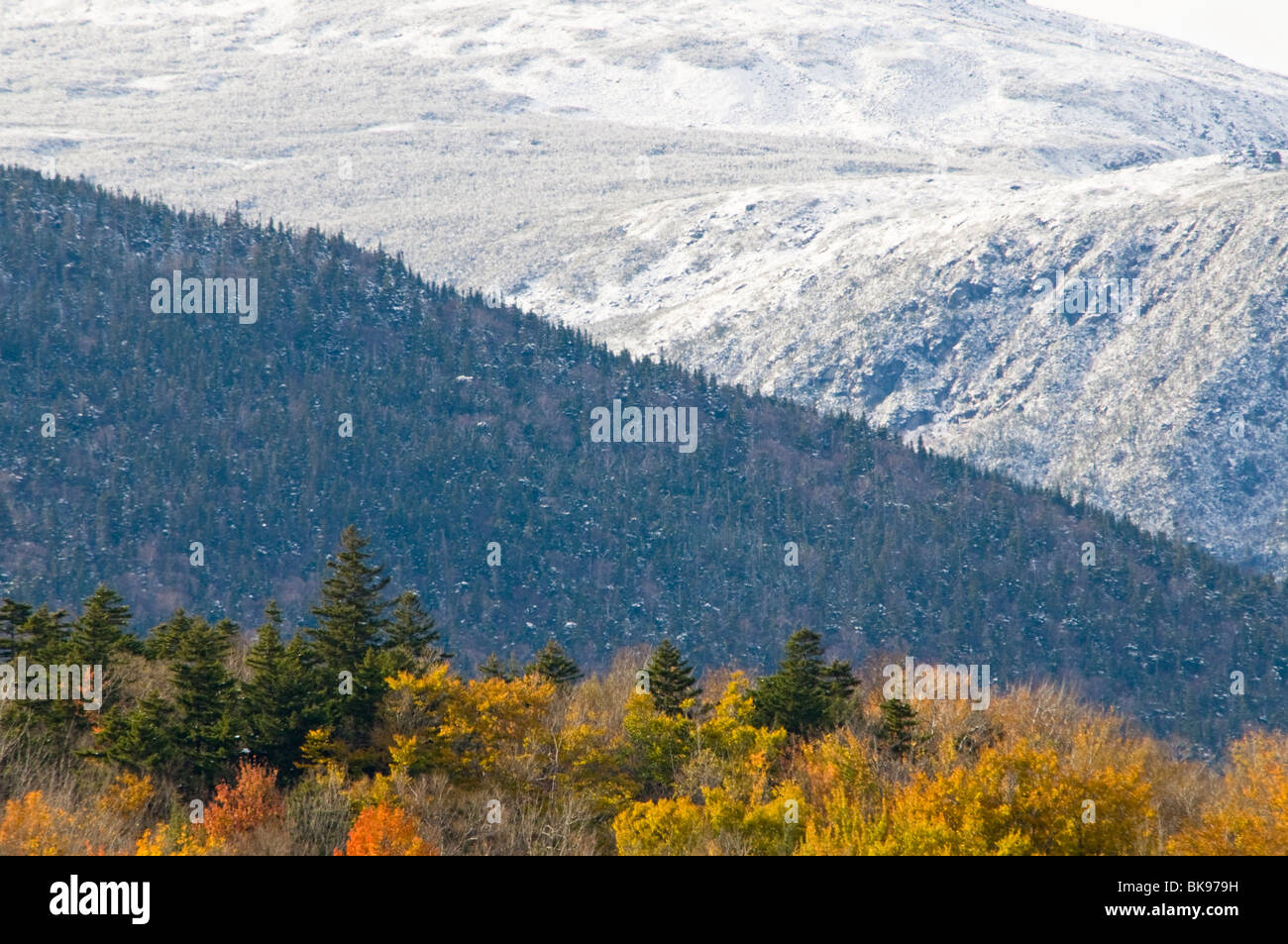 Autumn Foliage,Mount Washington,White Mountain National Forest,First ...