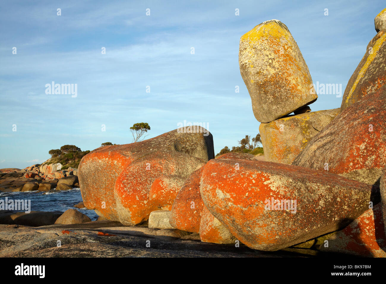 Orange Lichen on Rocks, Binalong Bay, Bay of Fires, Eastern Tasmania ...