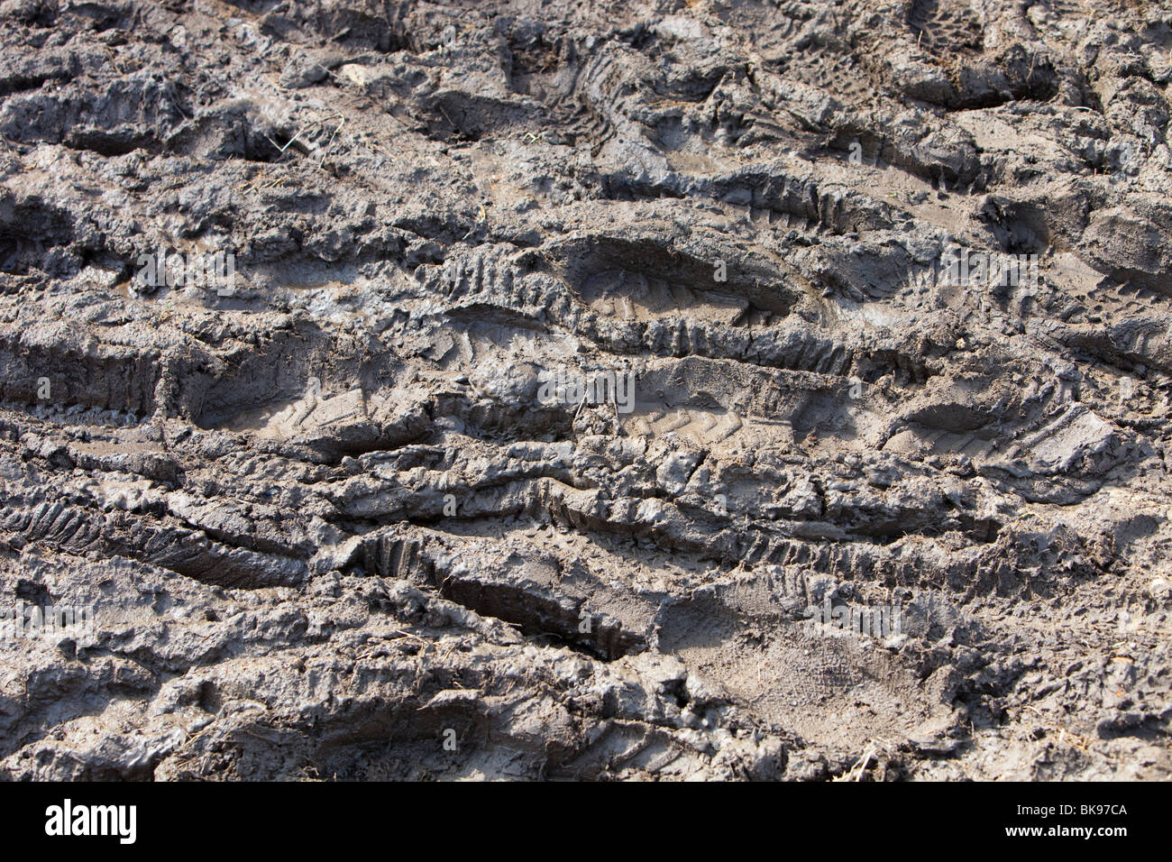 Boot print mud hi-res stock photography and images - Alamy