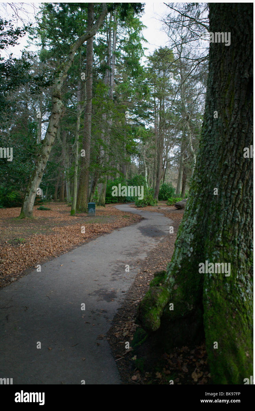 Ness walk footpath Stock Photo - Alamy