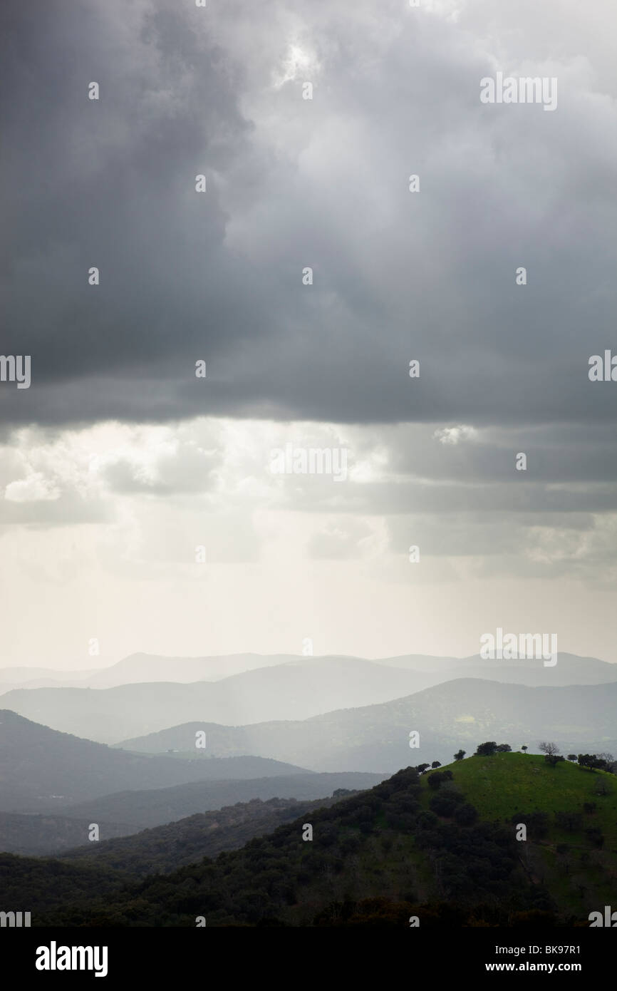 Mediterranean forest landscape hi-res stock photography and images - Alamy