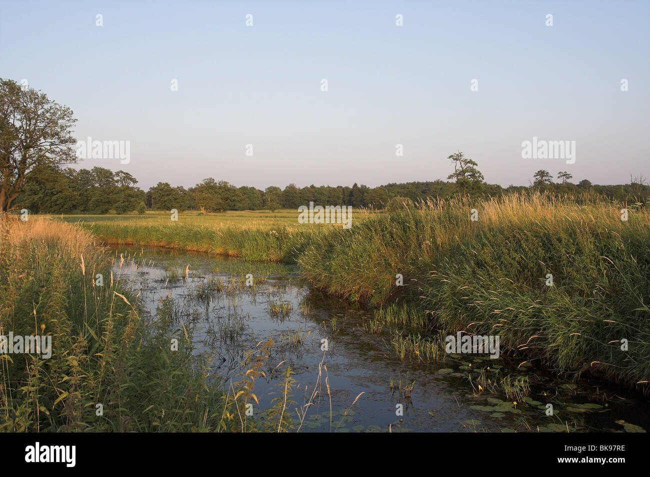 Stream valley of the drentse aa hi-res stock photography and images - Alamy