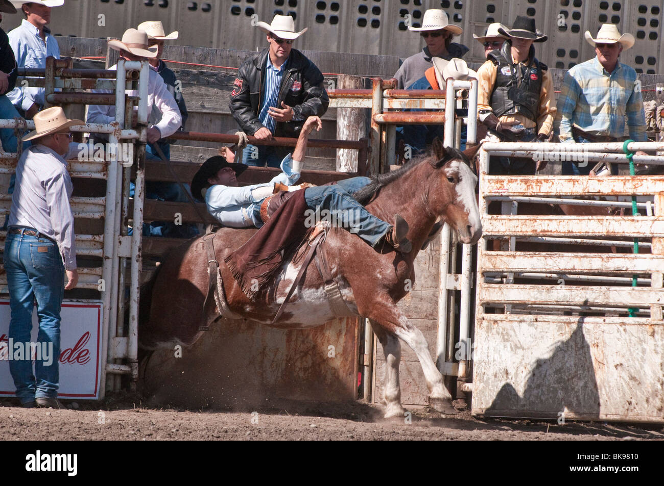 Bareback Bronc Riding Stock Photos & Bareback Bronc Riding Stock Images ...