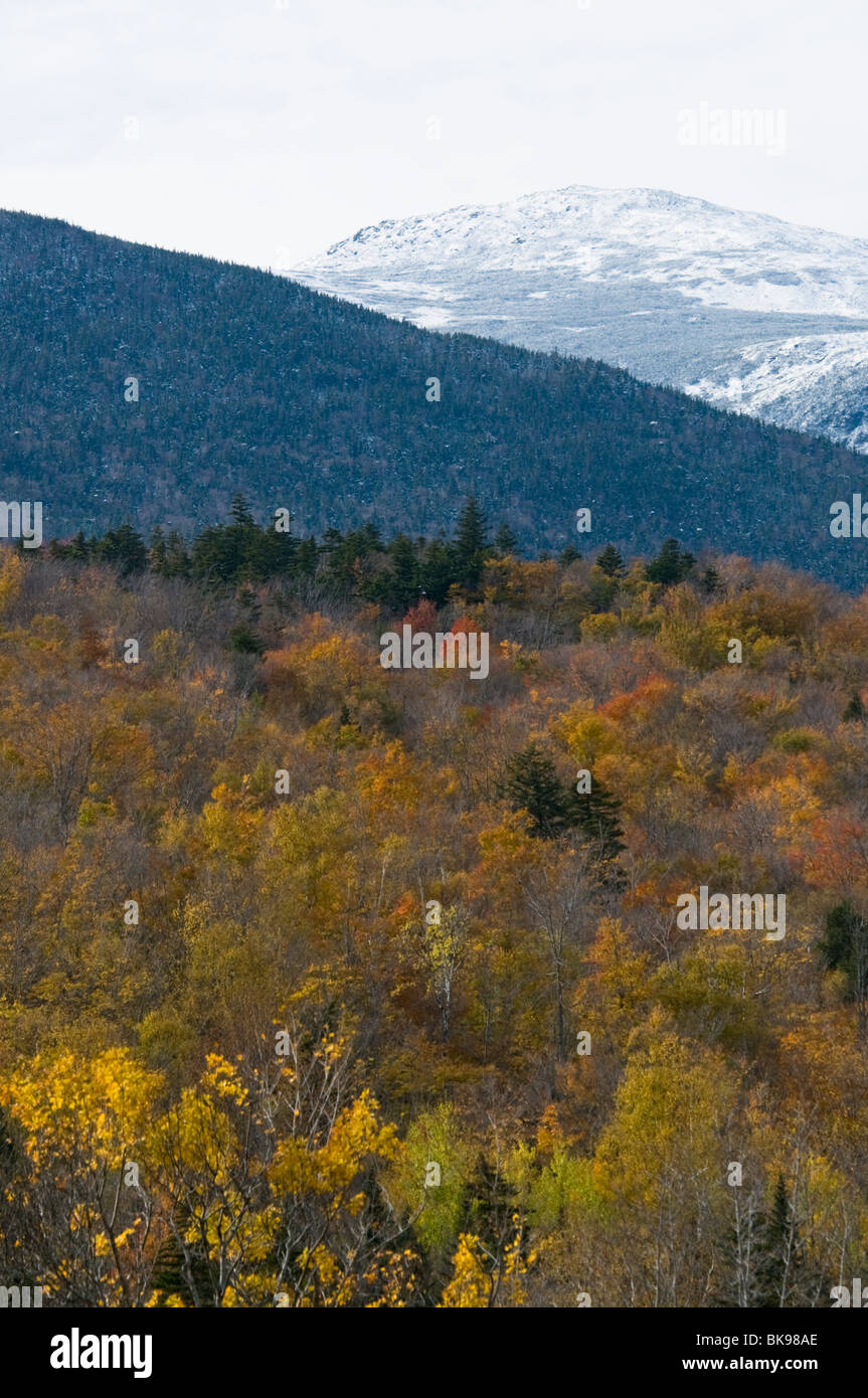 Autumn Foliage,Mount Washington,White Mountain National Forest,First ...