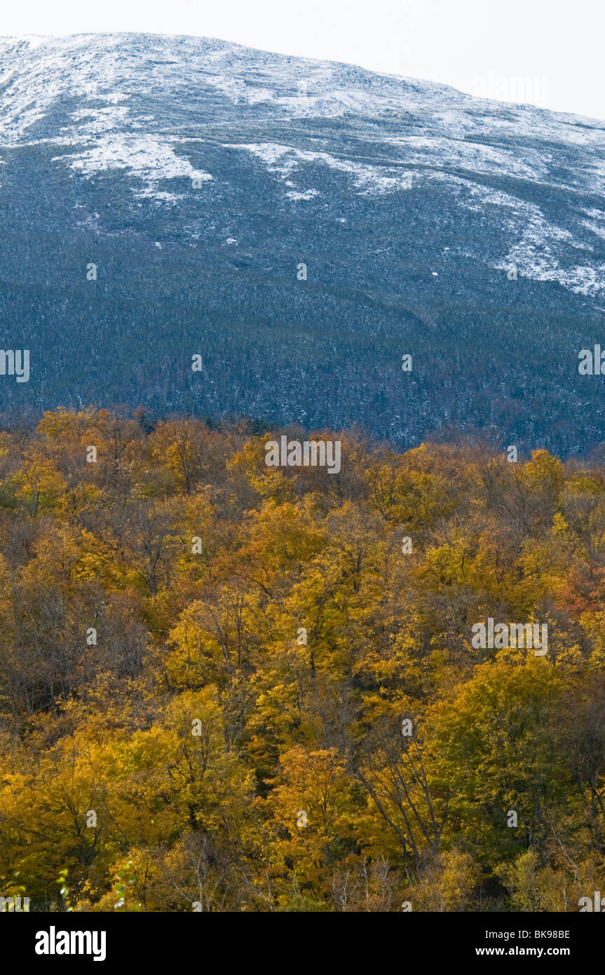 Autumn Foliage,Mount Washington,White Mountain National Forest,First ...