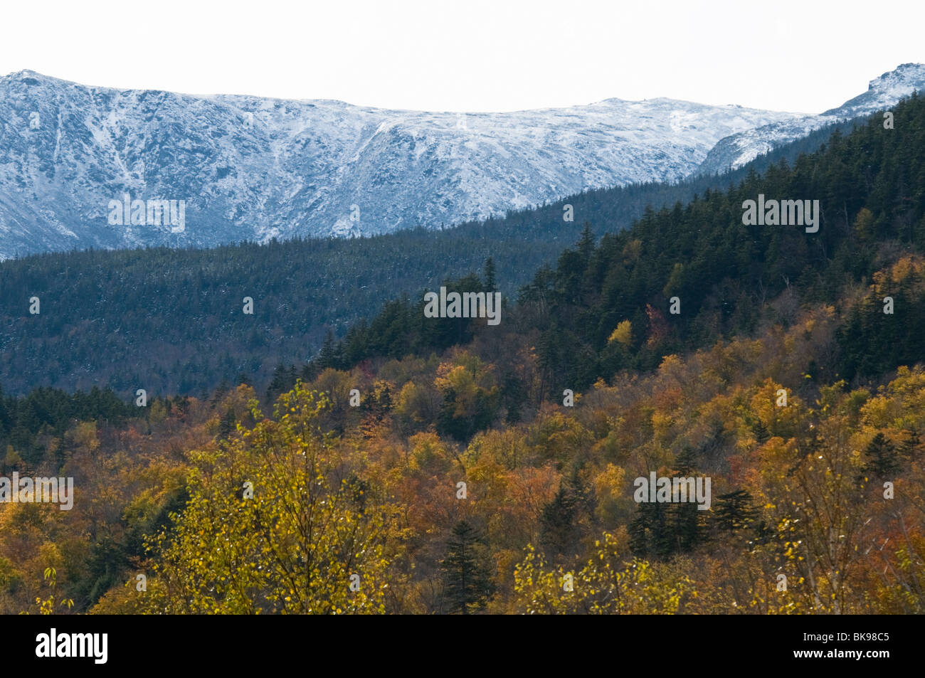 Autumn Foliage,Mount Washington,White Mountain National Forest,First ...