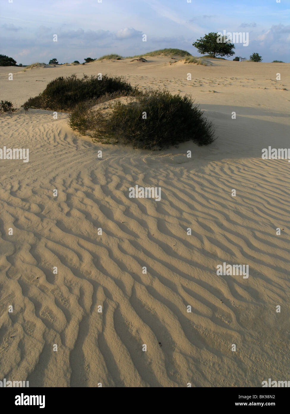 Strijklicht hi-res stock photography and images - Alamy