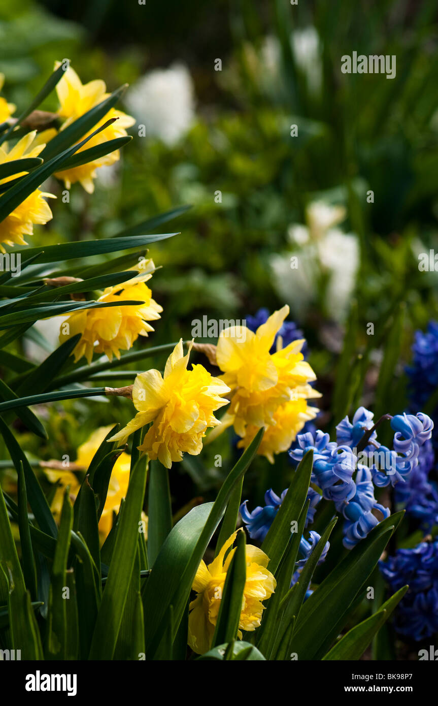 Rococo flowers hi-res stock photography and images - Alamy
