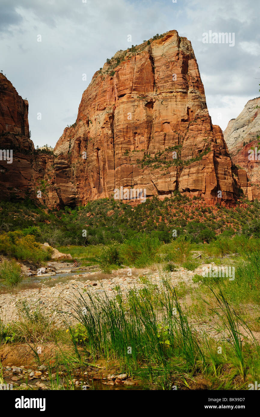 Landscape view on Angels Landing in Zion National Park, Utah, USA Stock ...
