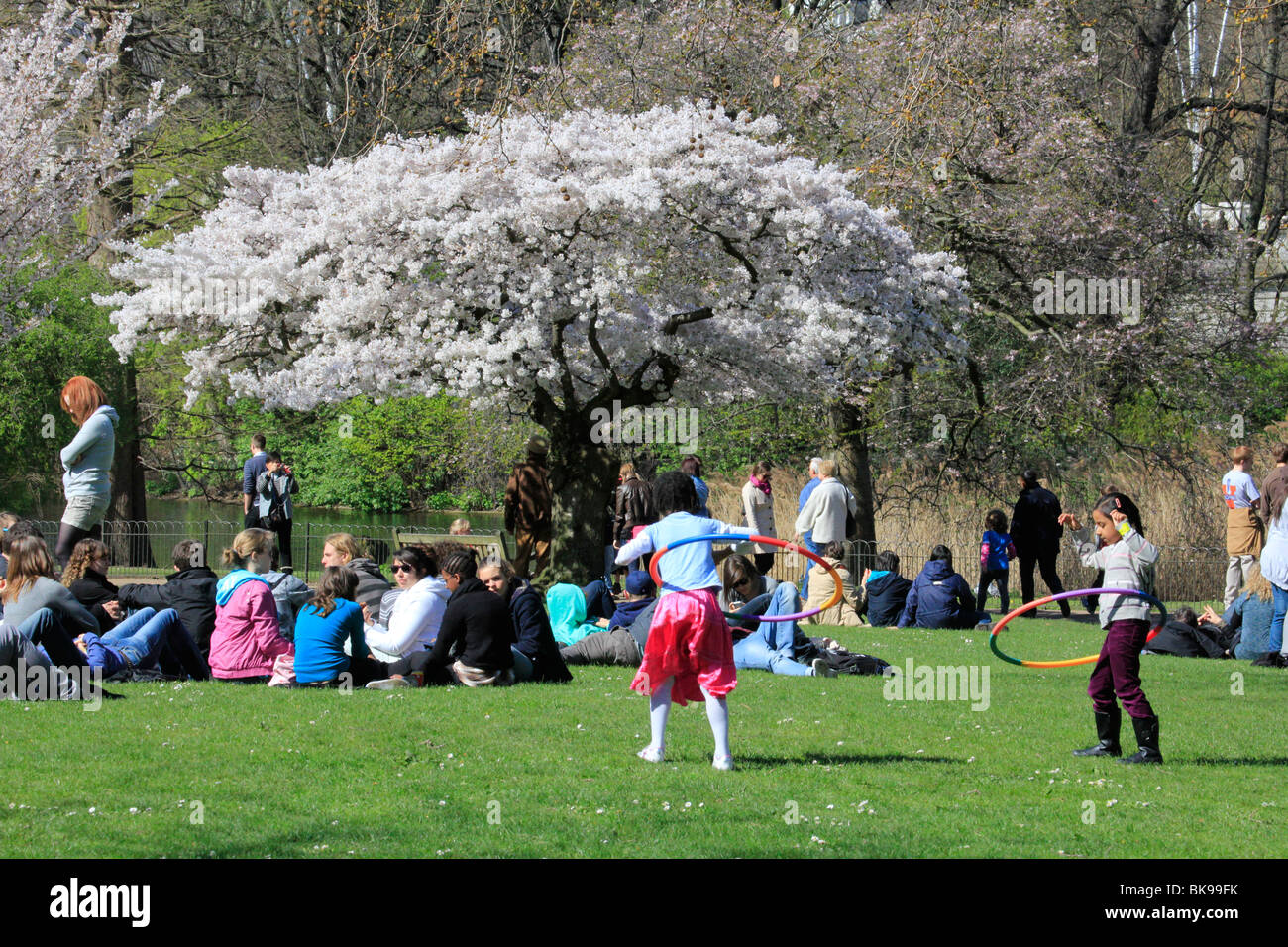 spring in st james's royal park london england uk gb Stock Photo - Alamy