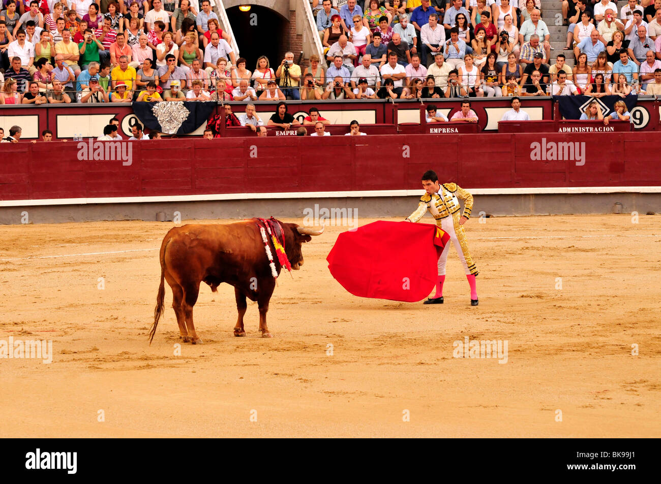 Bullfighter torero stands hi-res stock photography and images - Alamy