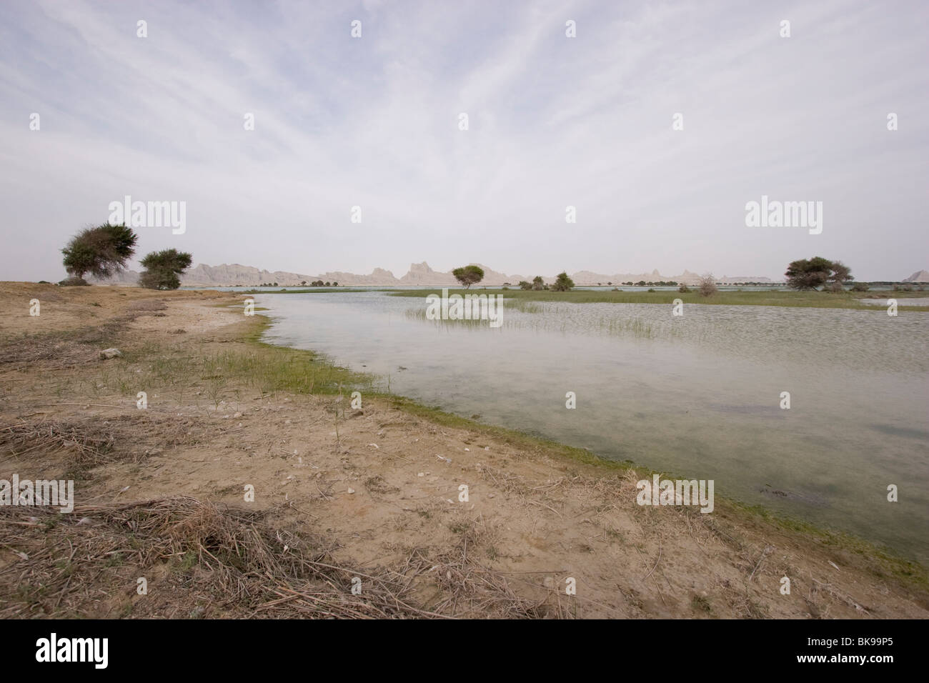 A seasonal marsh is formed in the desert after severe winter rains ...
