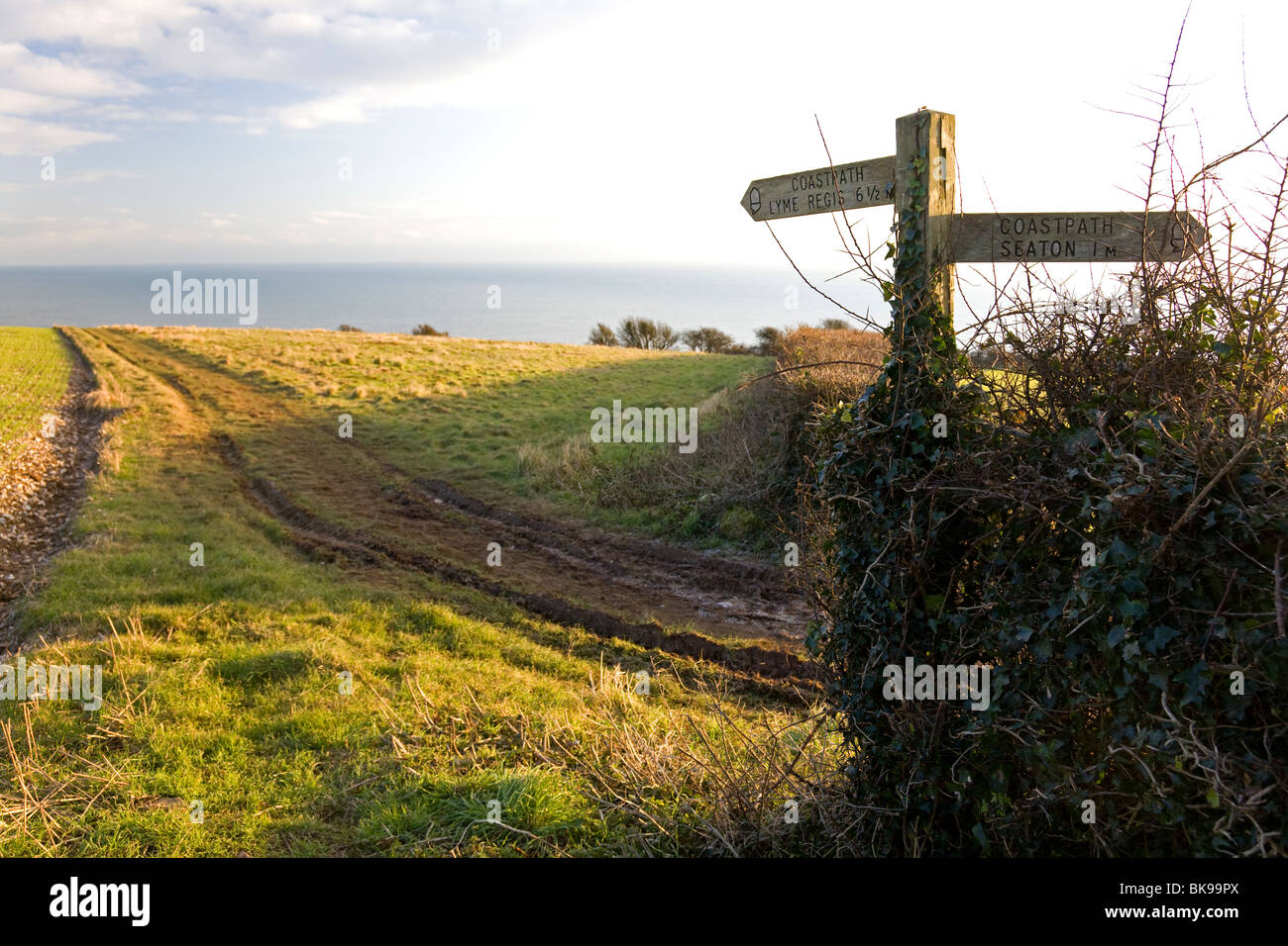 Devon coastal path near Axmouth Stock Photo - Alamy