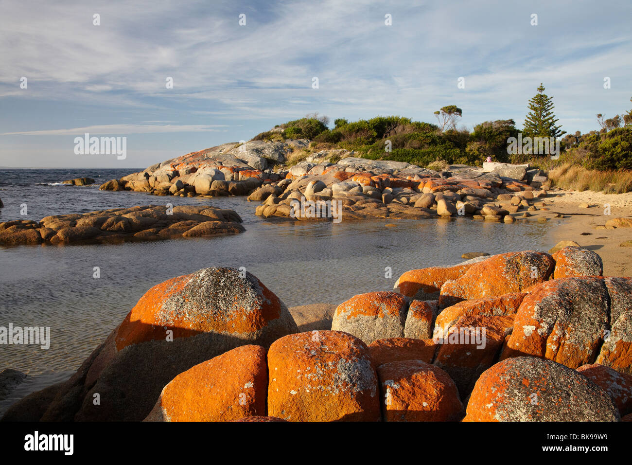 Orange Lichen on Rocks, Binalong Bay, Bay of Fires, Eastern Tasmania ...