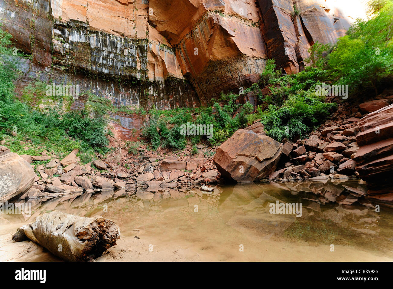 Pond in Emerald Pools site in Zion National Park, Utah, USA Stock Photo ...
