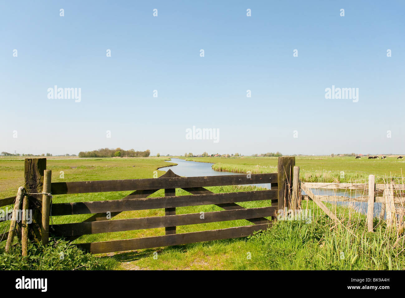 Dutch farmland hi-res stock photography and images - Alamy