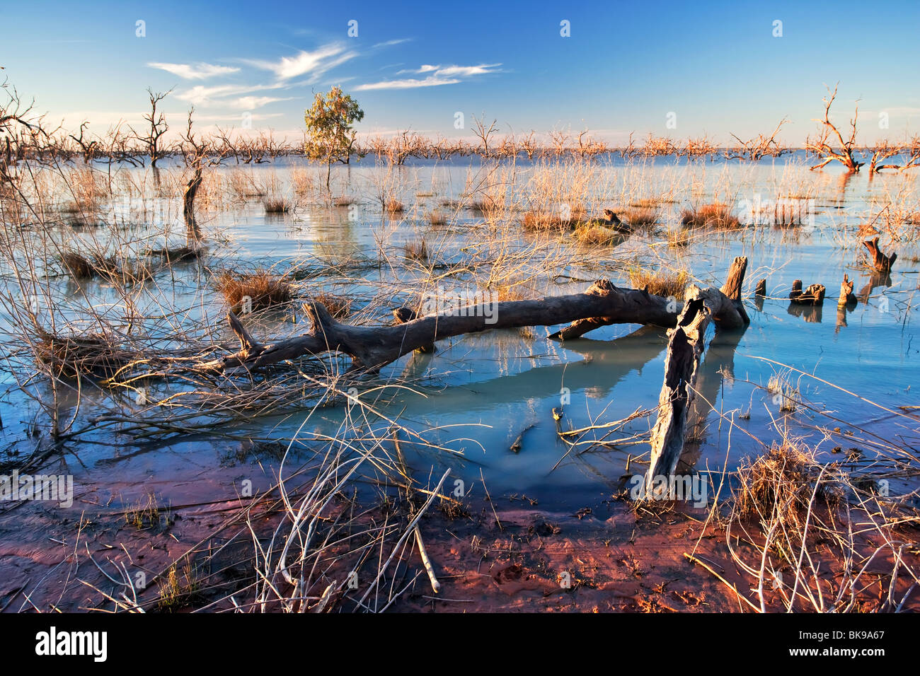 Pamamaroo hi-res stock photography and images - Alamy