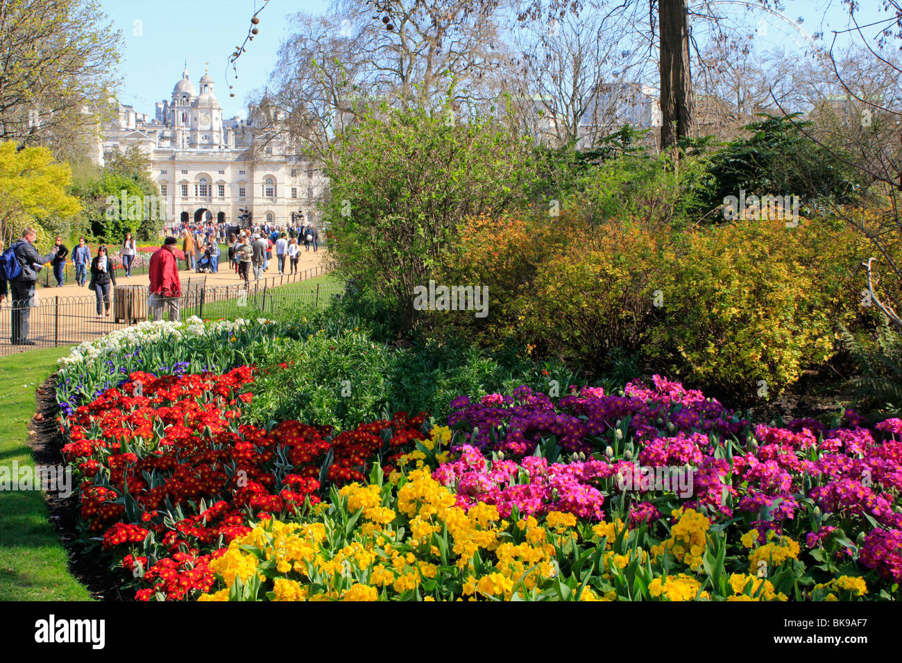 spring in st james's royal park london england uk gb Stock Photo - Alamy