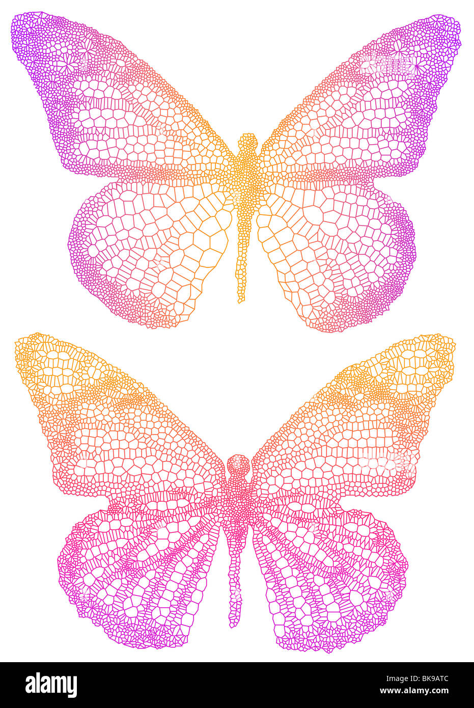 colorful butterflies with delicate texture Stock Photo - Alamy