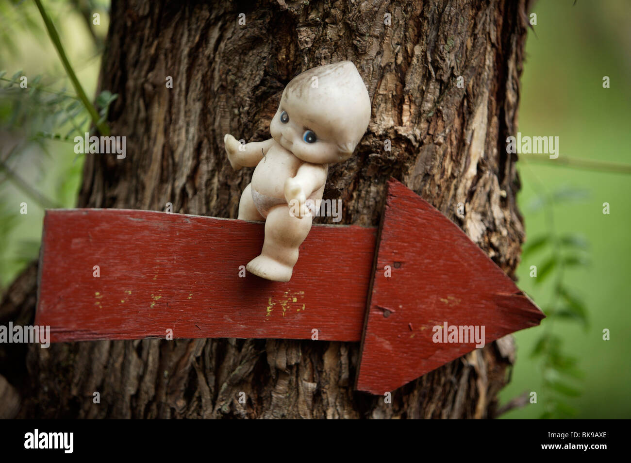 A doll hangs on an arrow in a tree on the Island of the Dolls in ...
