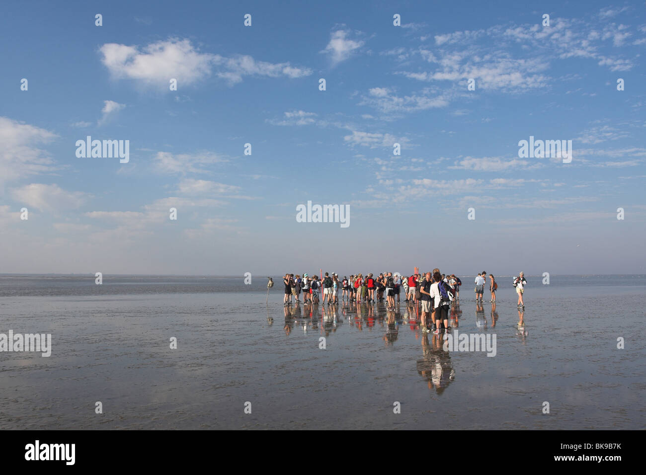 Wadlopen hi-res stock photography and images - Alamy