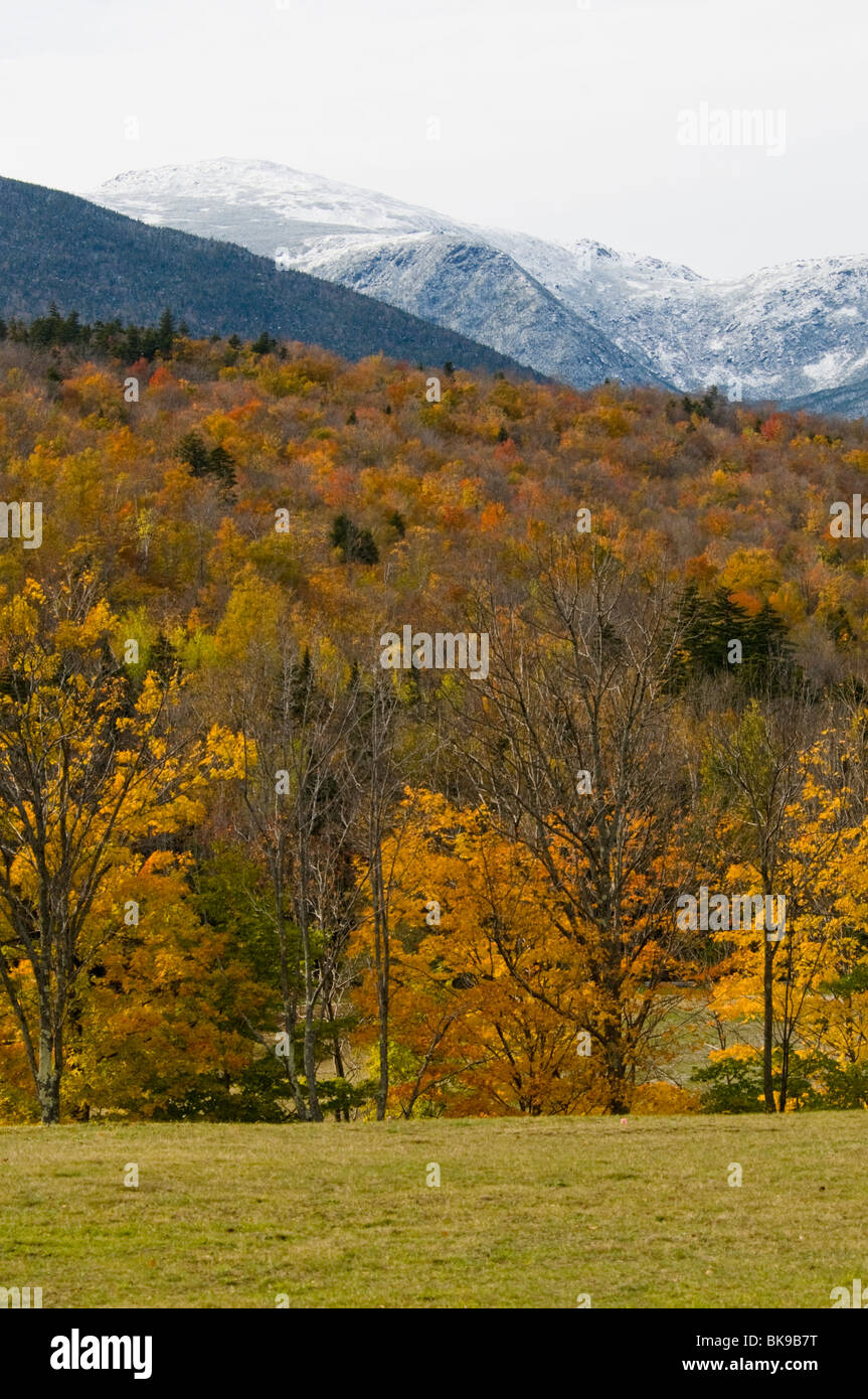 Autumn Foliage,Mount Washington,White Mountain National Forest,First ...