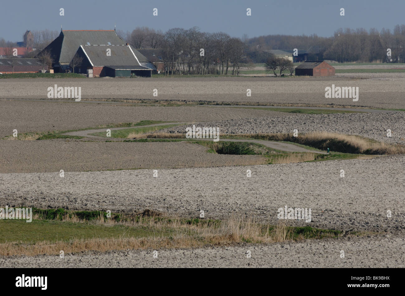 Zeeklei akkerlandschap met boerderij in noordoost Friesland Stock Photo ...