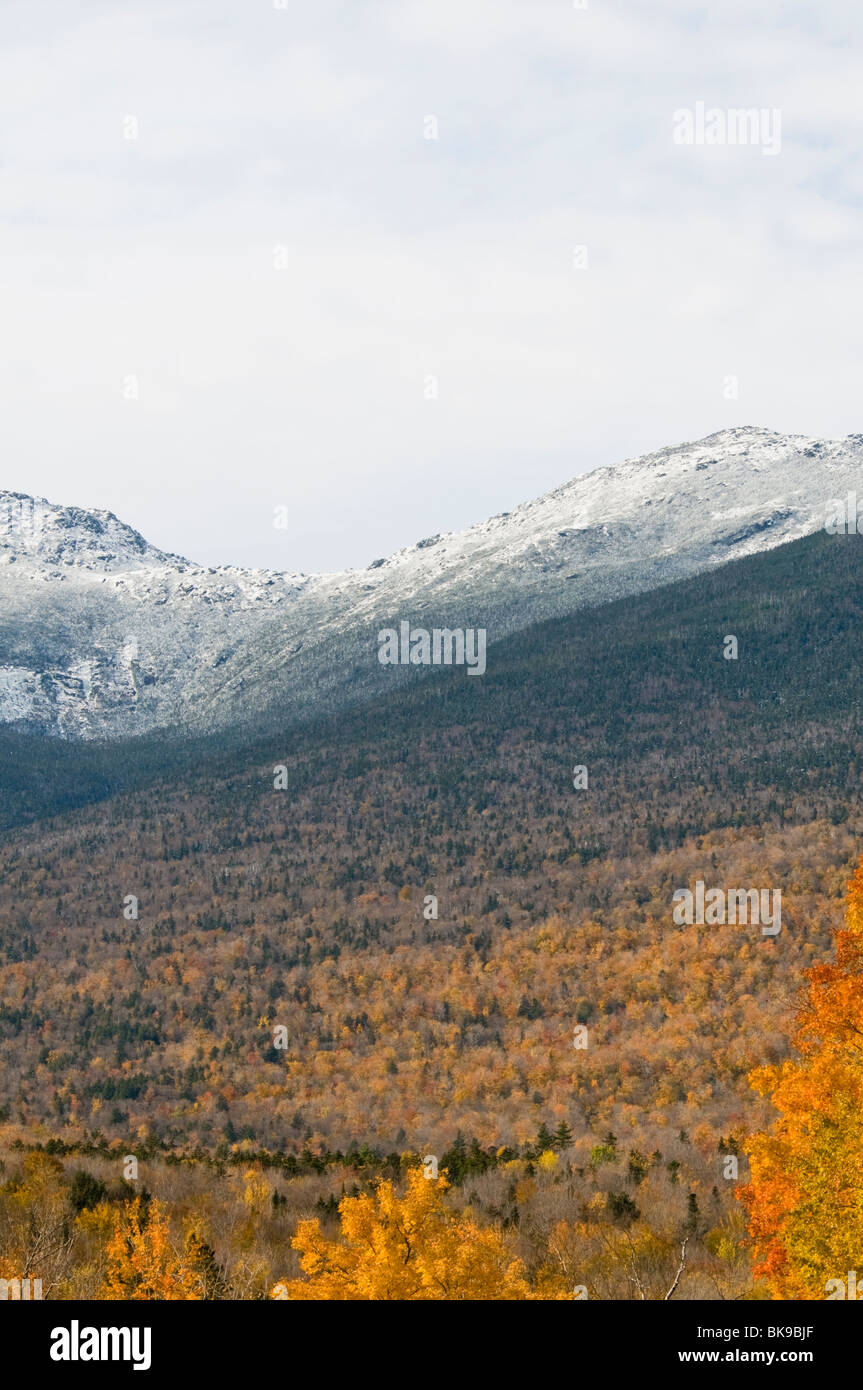 Blowing leaf peeping hi-res stock photography and images - Alamy