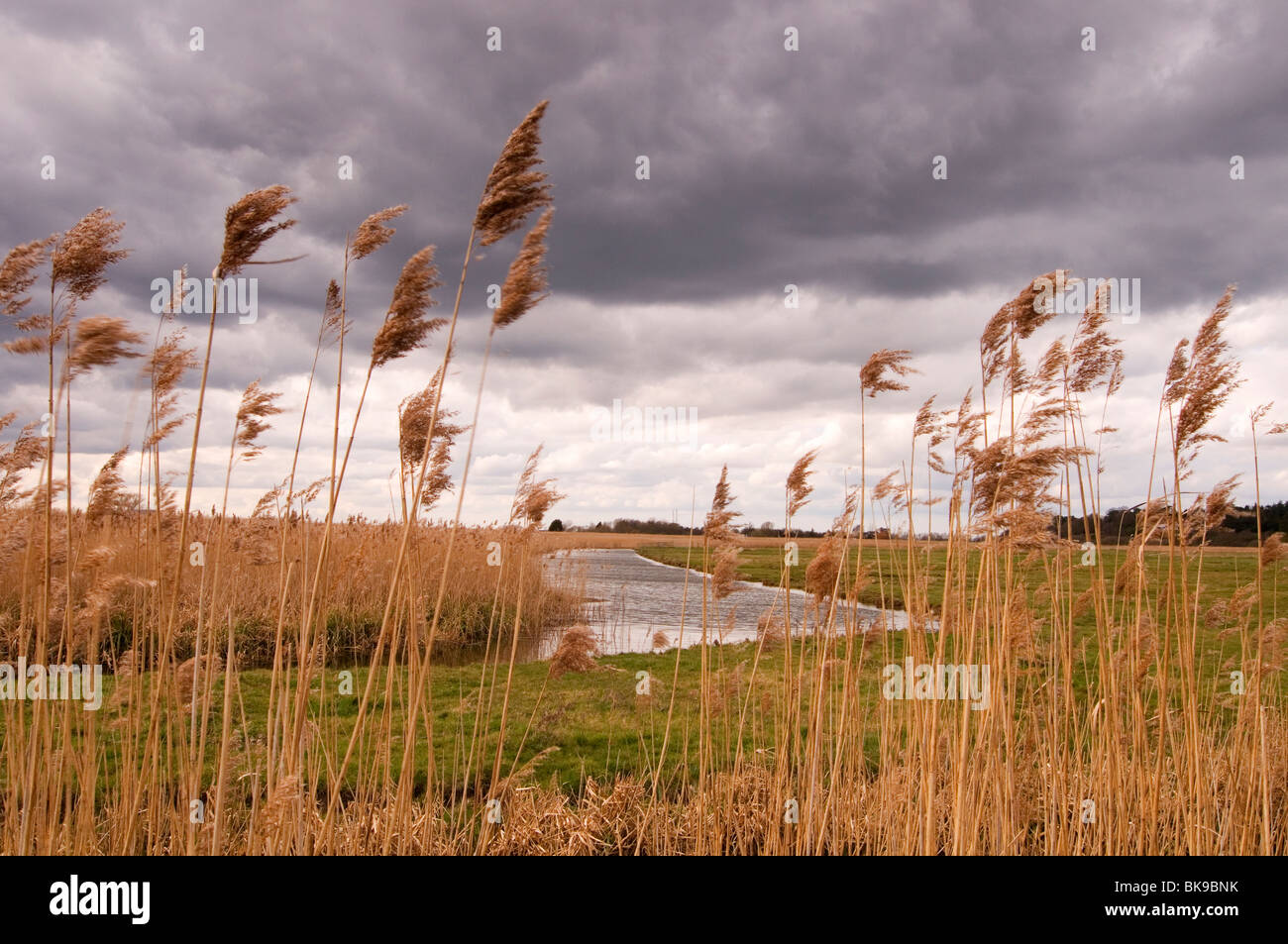 Dyke landscape hi-res stock photography and images - Alamy