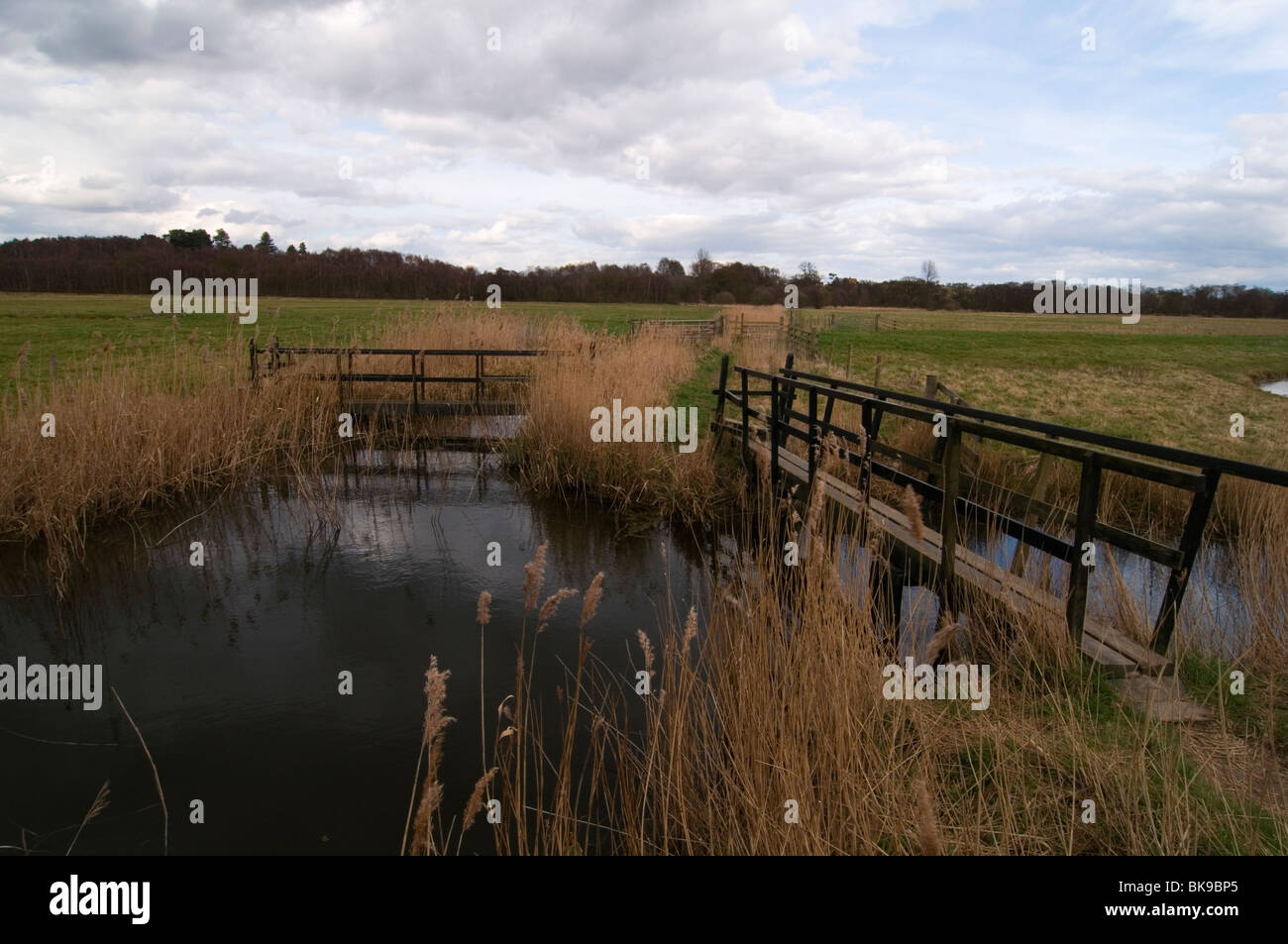 Marsh bridges hi-res stock photography and images - Alamy