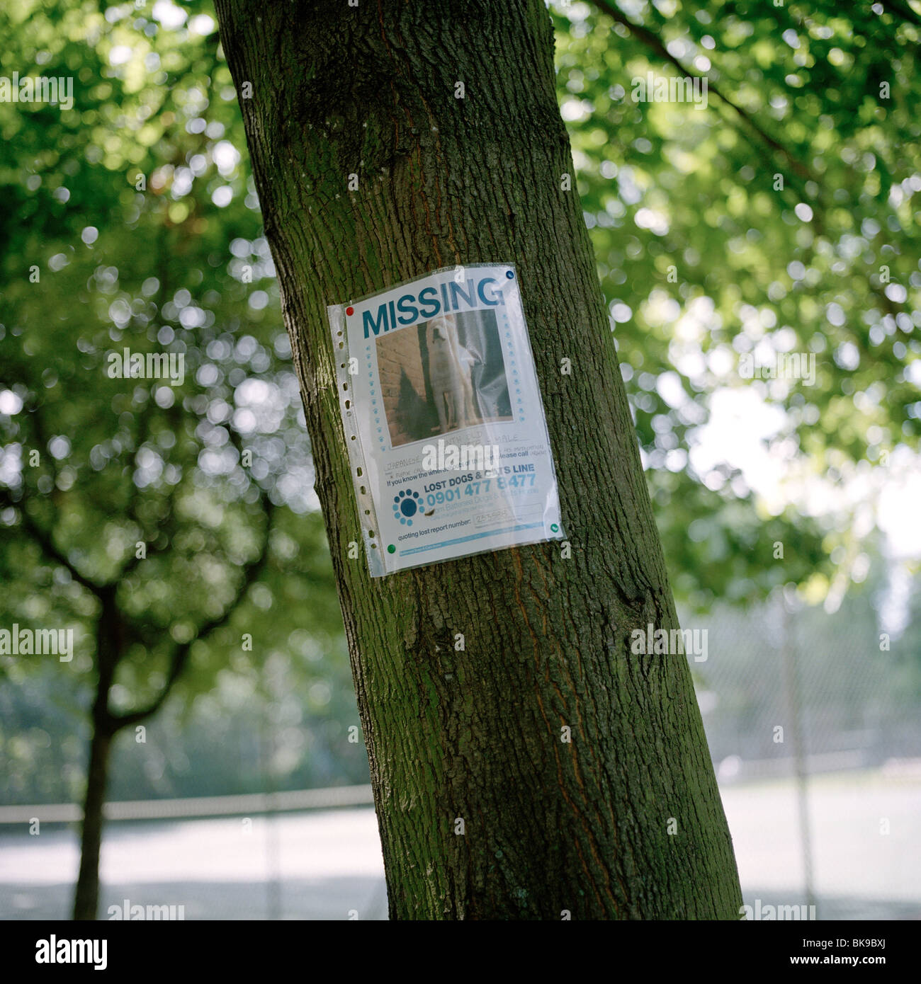 Missing poster hi-res stock photography and images - Alamy