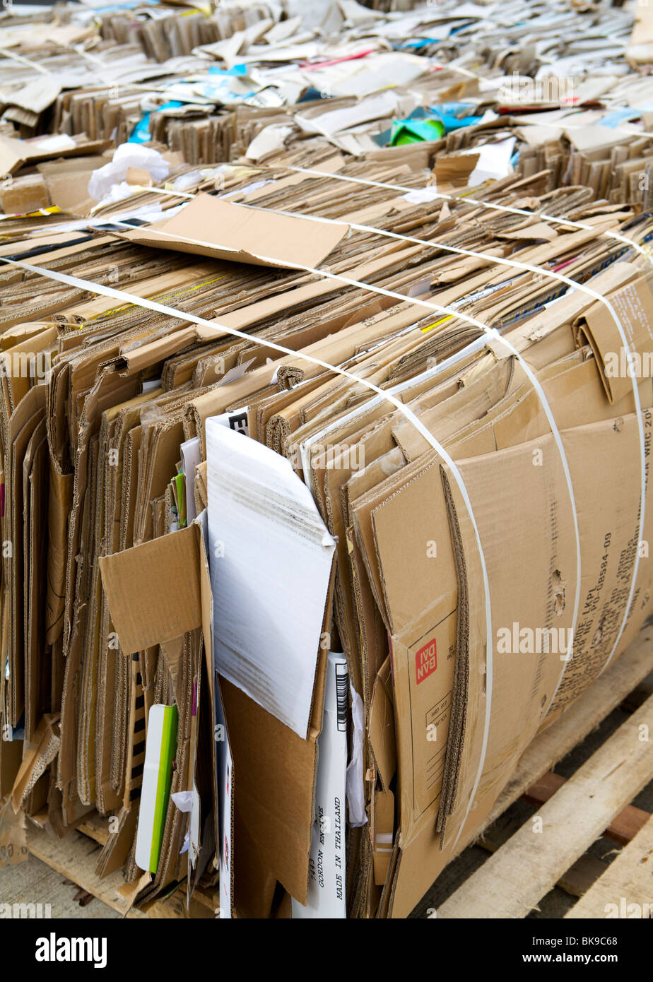 Cardboard bales waste recycling hi-res stock photography and images - Alamy