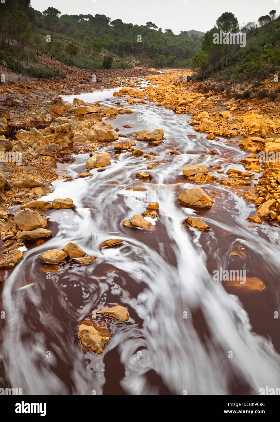 The channel of the Rio Tinto in spring Stock Photo - Alamy