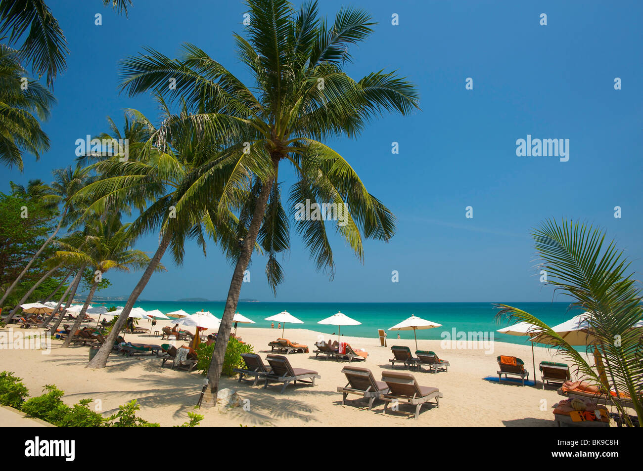 Chaweng beach hi-res stock photography and images - Alamy