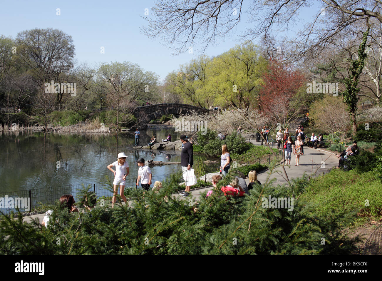 The pond central park hi-res stock photography and images - Alamy