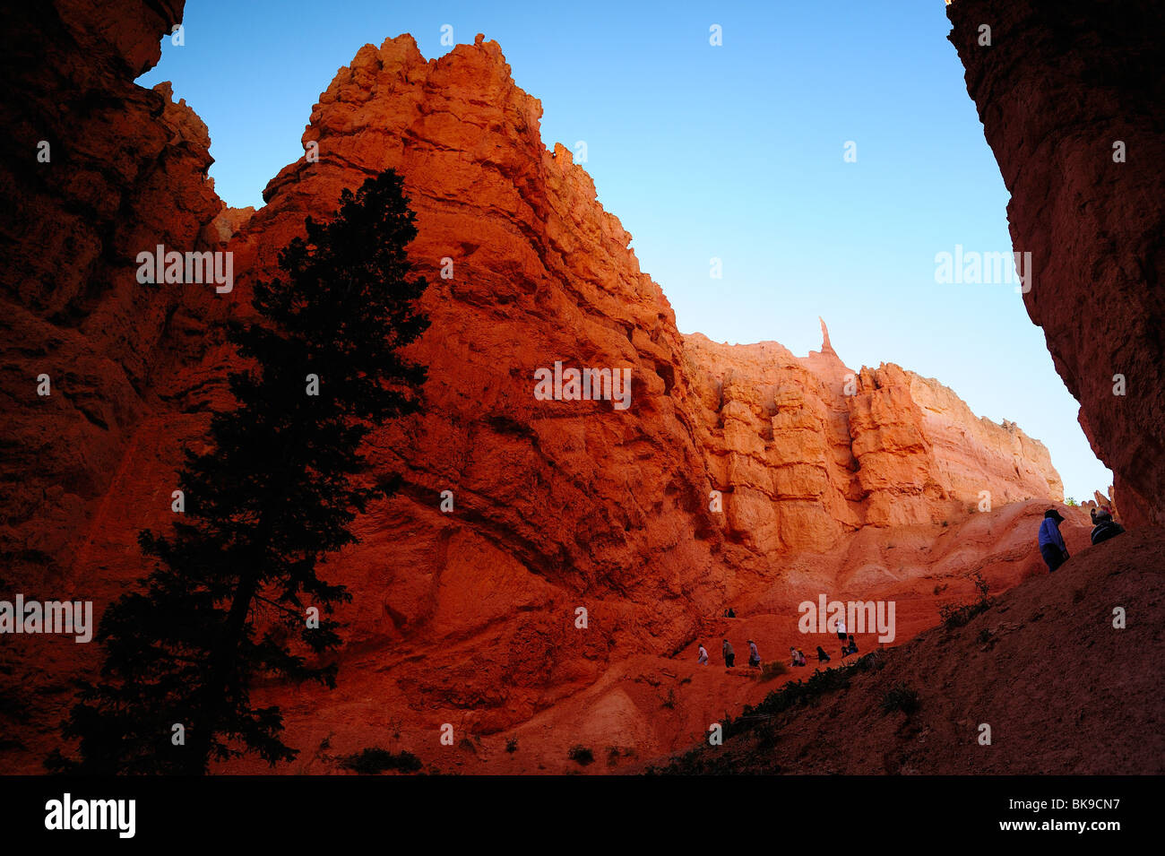 View navajo loop trail at bryce canyon hi-res stock photography and ...