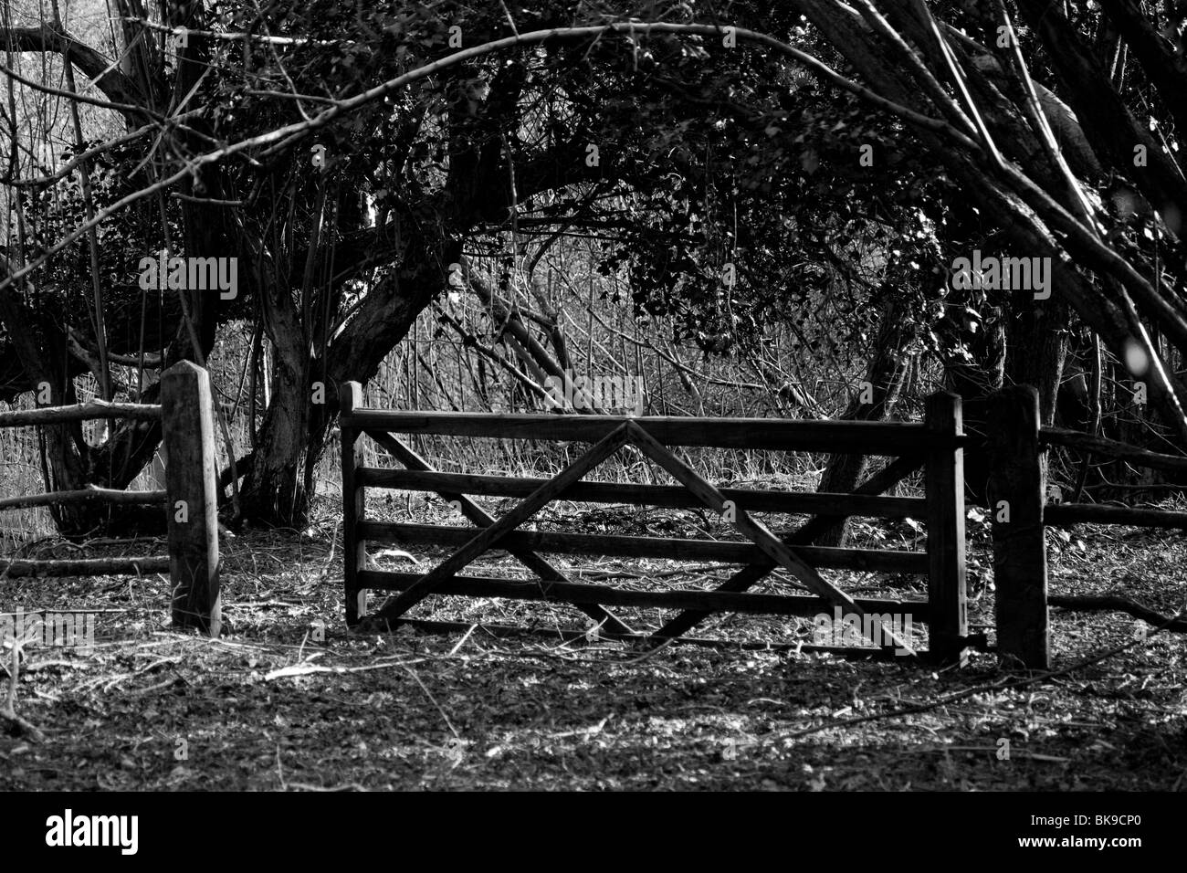 Open country gate hi-res stock photography and images - Alamy