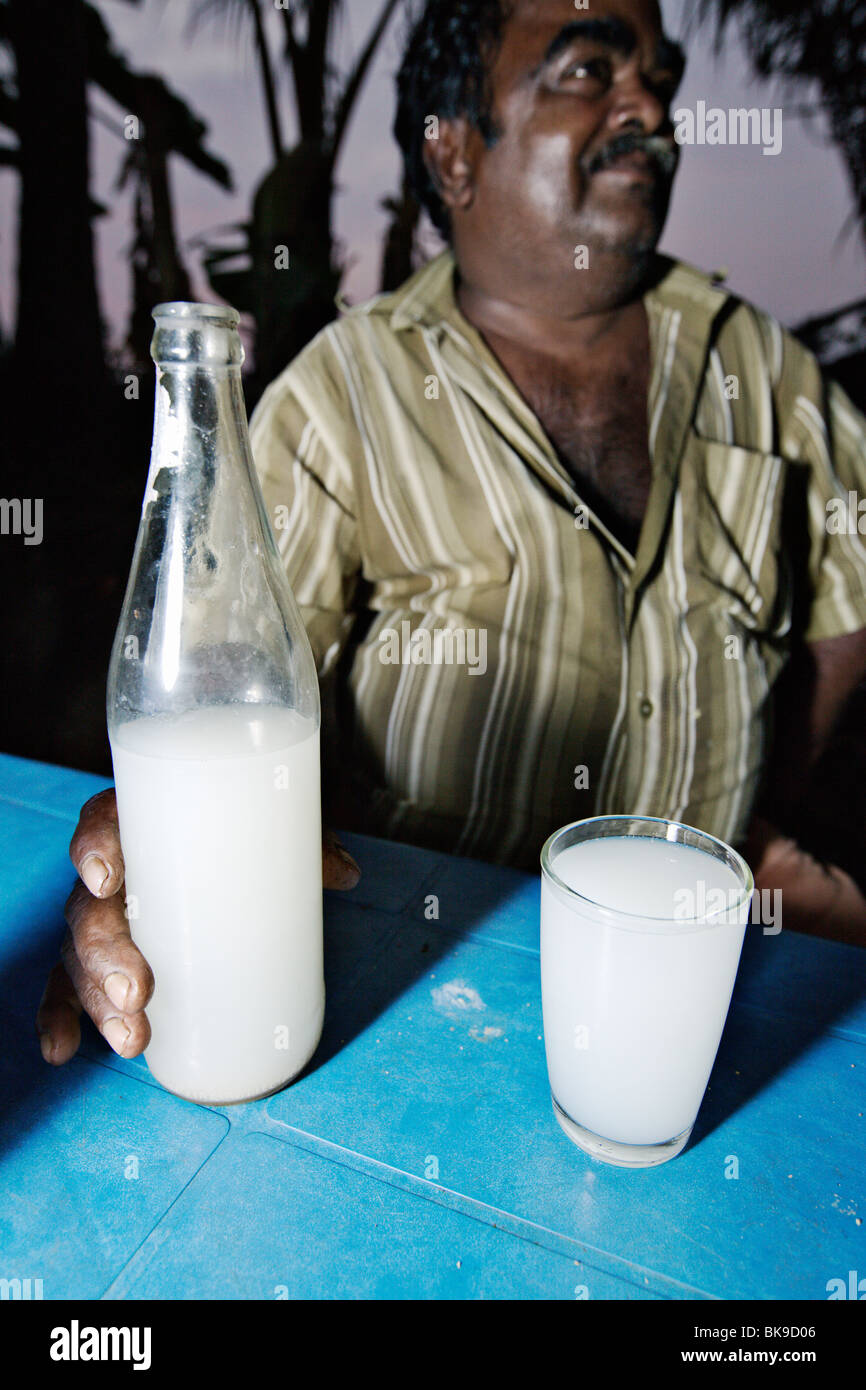 "Toddy" is palm wine. It's popular in backwaters of Kerala, India Stock Photo - Alamy