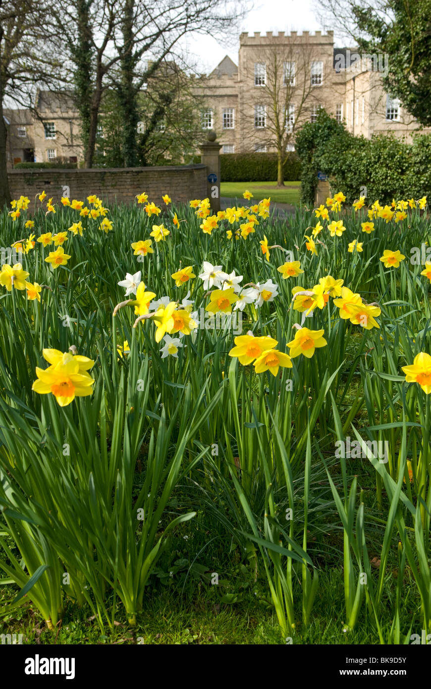 Victorian spring flower hi-res stock photography and images - Alamy