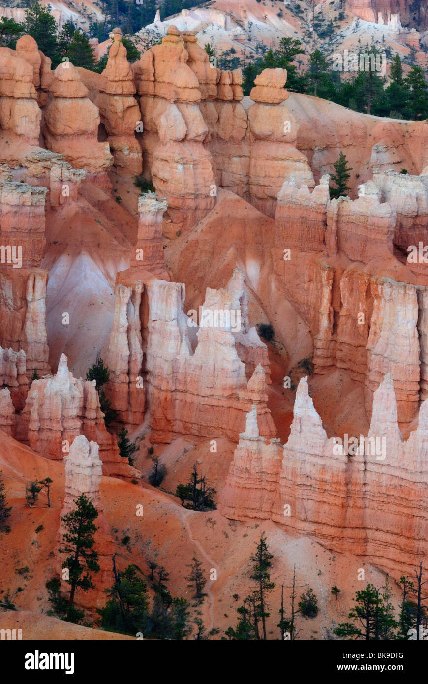 Scenic view on Bryce Canyon from Sunset Point, Utah, USA Stock Photo ...