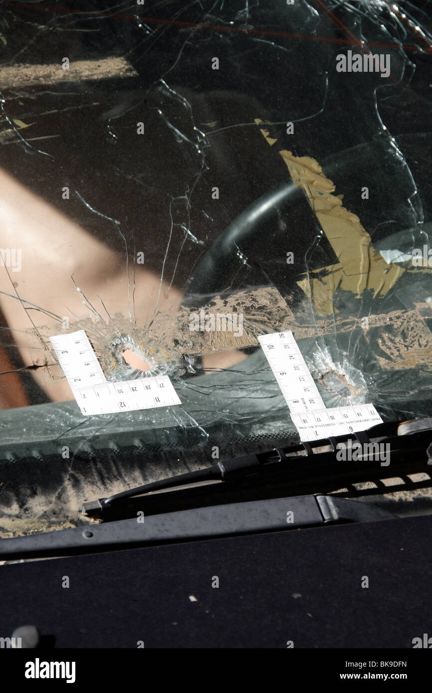 Forensic investigation window hi-res stock photography and images - Alamy