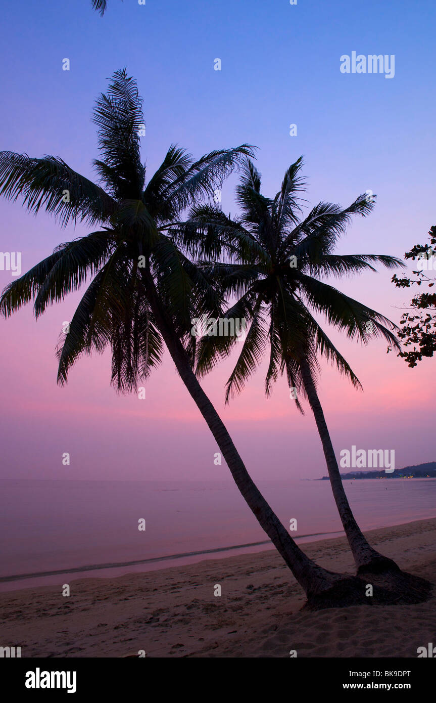 Koh samui beach sunset hi-res stock photography and images - Alamy