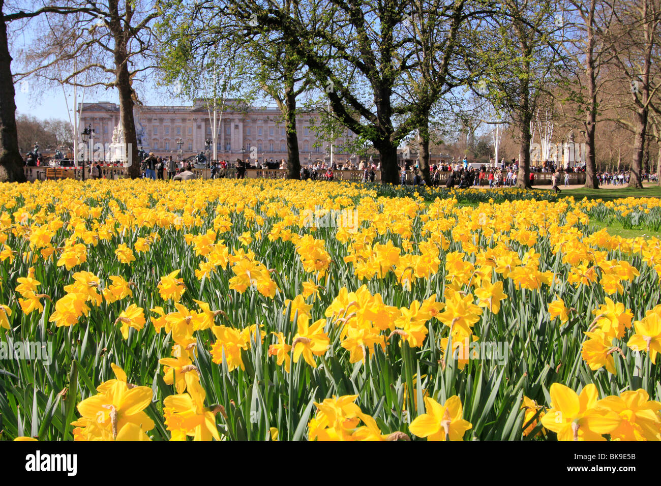Royal palace stock london hi-res stock photography and images - Alamy