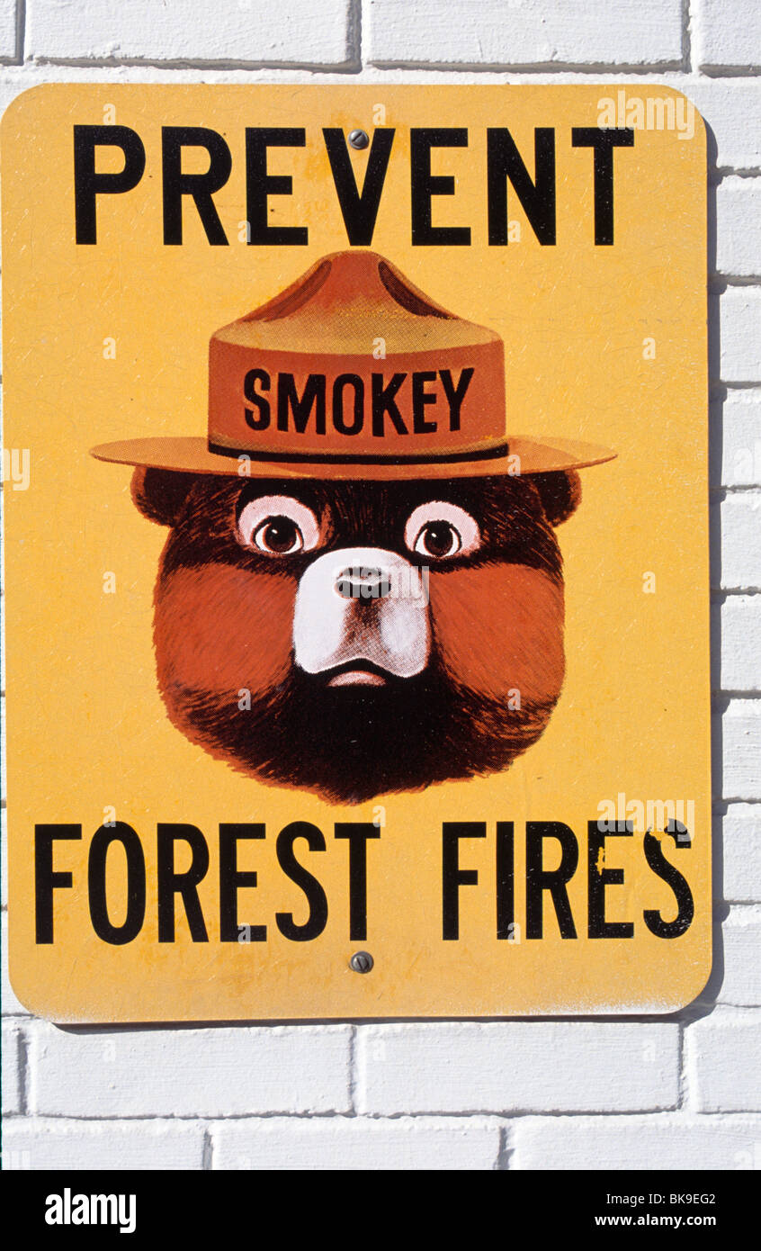 Forest Fire Prevetion