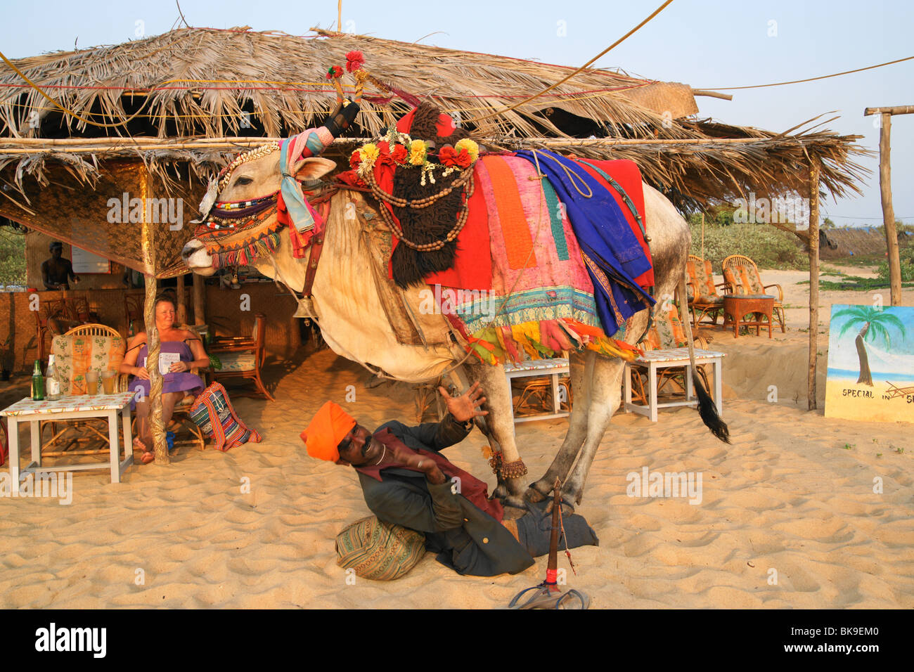 Dancing cow hi-res stock photography and images - Alamy