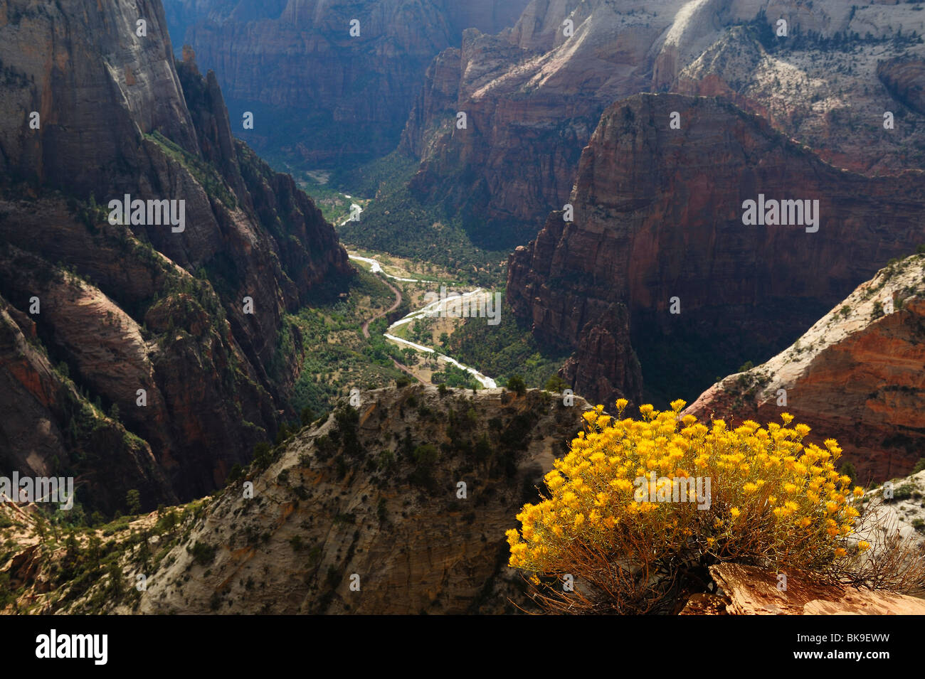 Scenic view on Zion Canyon from Observation Point in Zion National Park ...
