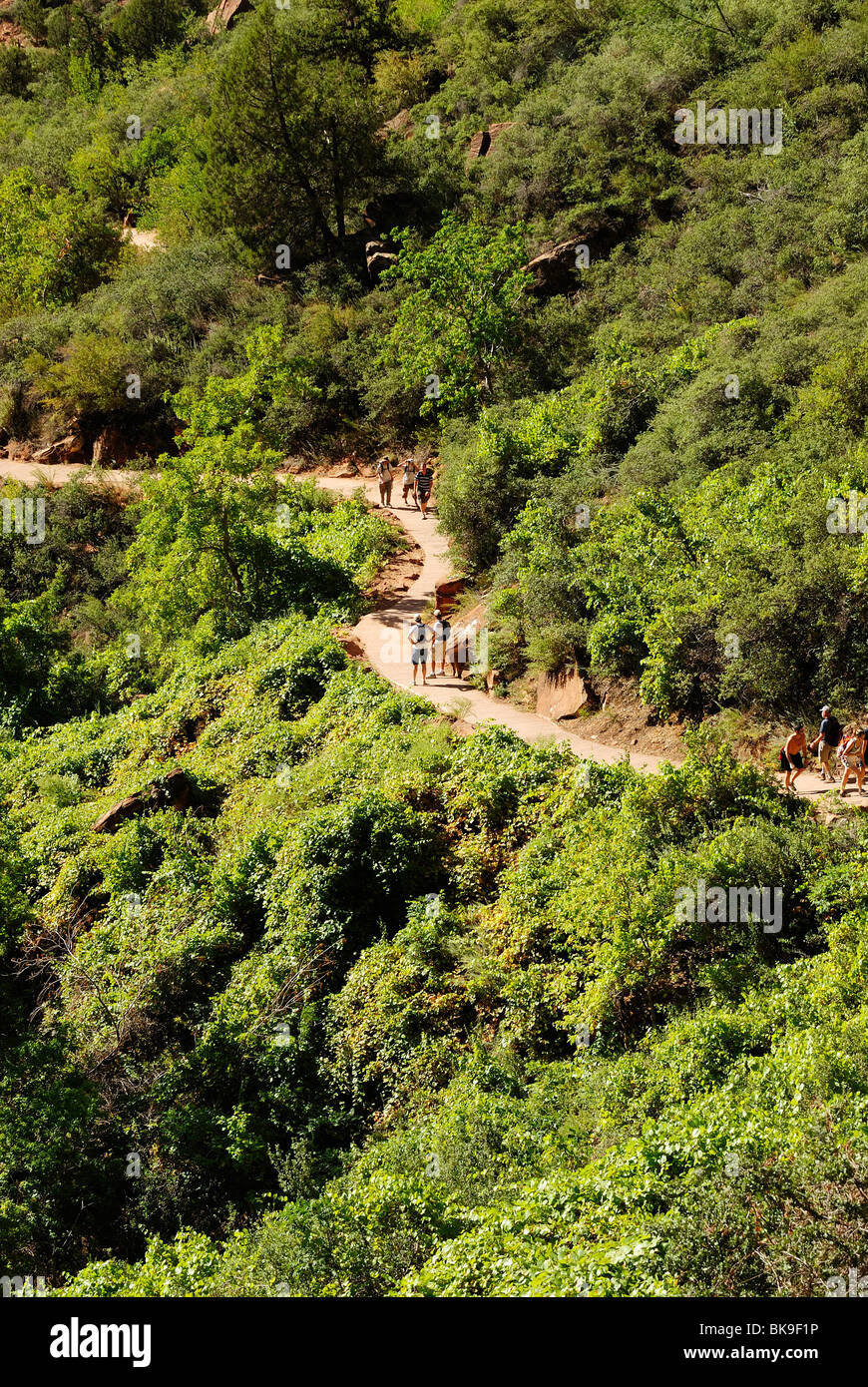 Narrow trail famous park hi-res stock photography and images - Alamy
