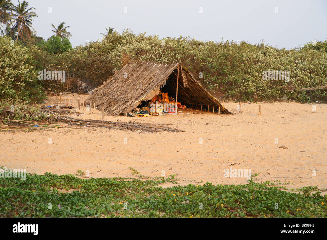 Beach shack at Candolim, Goa India Stock Photo - Alamy